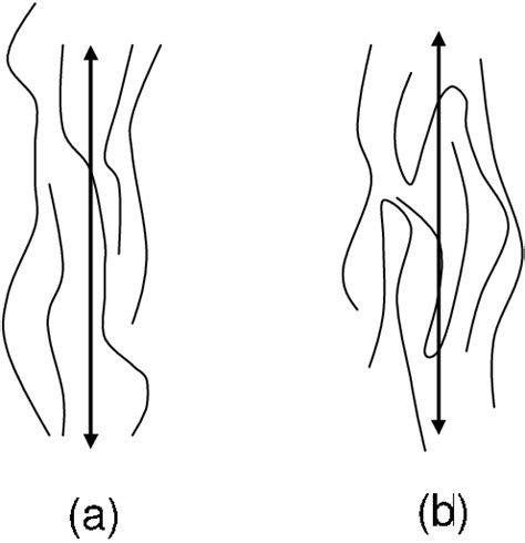 1 Schematic Drawing Of Molecular Conformations Of Ppta In The Nematic