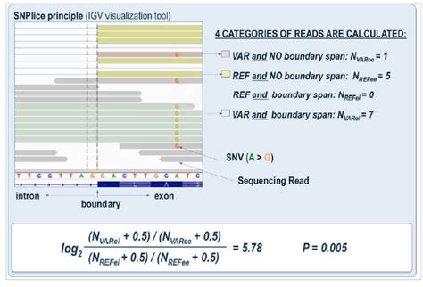 Snplice Identify Cis Acting Splice Modulating Variants From Rna Seq