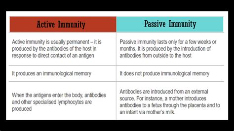 Understanding Passive And Active Immunity