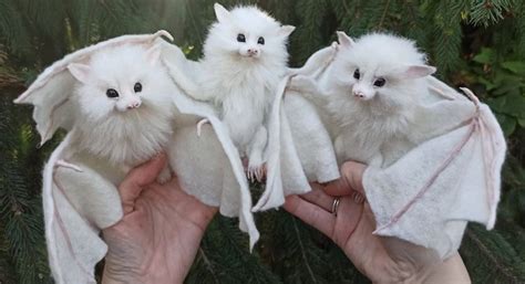 Does A Pic Show Real White Bats