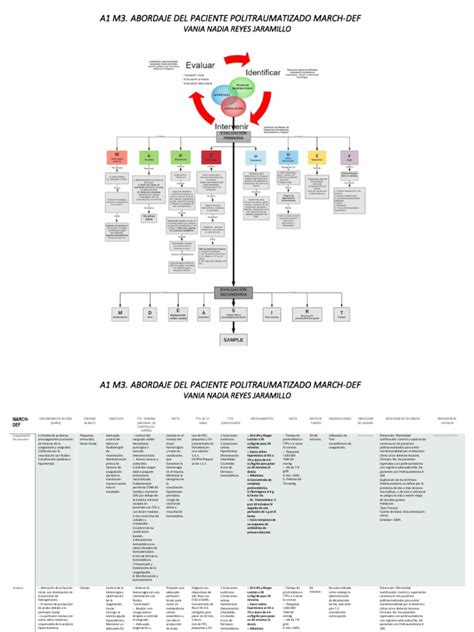 Abordaje Con El Protocolo March Def Pdf Hipoglucemia Coagulación