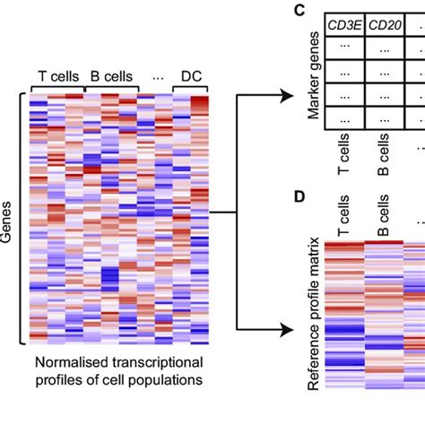 Computational Framework To Derive Reference Signatures A Gene Download Scientific Diagram