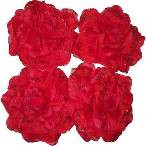 Roos Rood Kees Konings