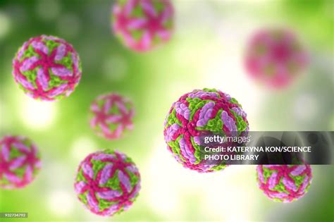 Powassan Virus Particles Illustration High Res Vector Graphic Getty