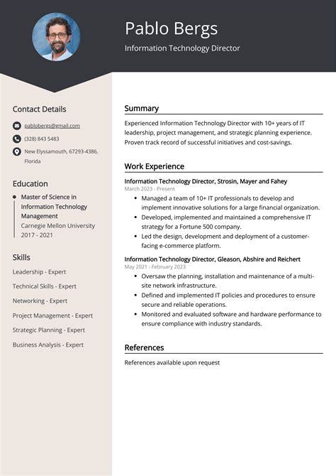 Information Technology Director Cv Sample And Guide Entry Level
