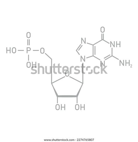 Chemical Structure Dna Nucleotide Three Parts Stock Vector Royalty