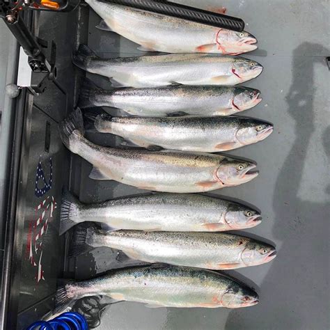 Photo Gallery Millennial Bait Co