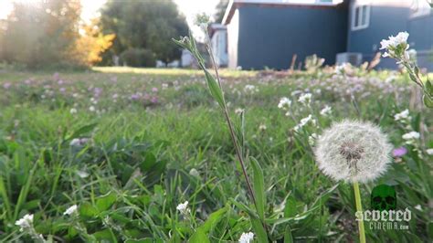 The Art Of Self Harm Review Exploring The Extreme Performance Art Of