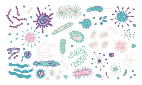 Premium Vector Set Of Different Bundle Of Infectious Microorganisms