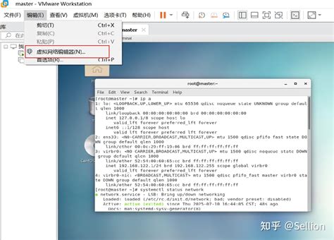 Vmware Centos虚机网络配置 知乎
