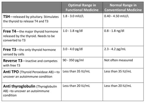 What The Heck Are Thyroglobulin Antibodies