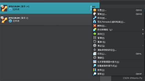绝对教程：vbox下的虚拟机添加备份，移植到另外一台设备virtualbox备份到其他电脑 Csdn博客