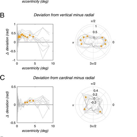 Coarse Scale Bias Is Mostly Radial In Organization A Deviation Of Download Scientific Diagram