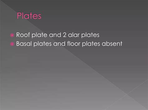 Development Of Diencephalon Ppt
