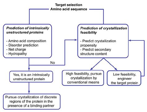 Schematic View Of Protein Primary Structure Analysis To Predict The Download Scientific Diagram