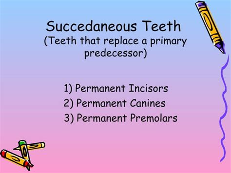 Primary Dentition And Eruption Ppt