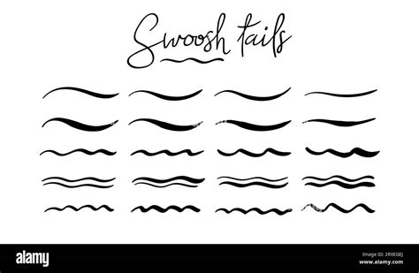 Swoosh And Swoops Double Underline Typography Tails Shapes Brush Drawn