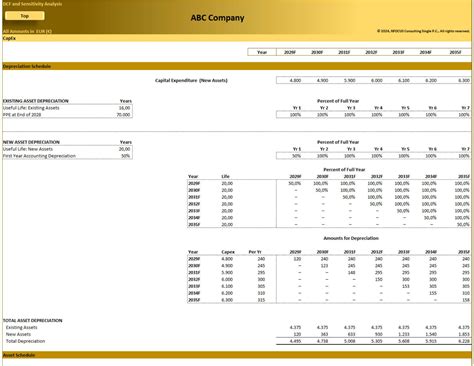 10 Year Dcf Analysis With Robust Sensitivity Tables And Irr