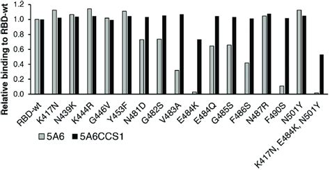 Biacore Binding Analysis Of 5a6 And 5a6cc1 Binding To The Rbd Mutants