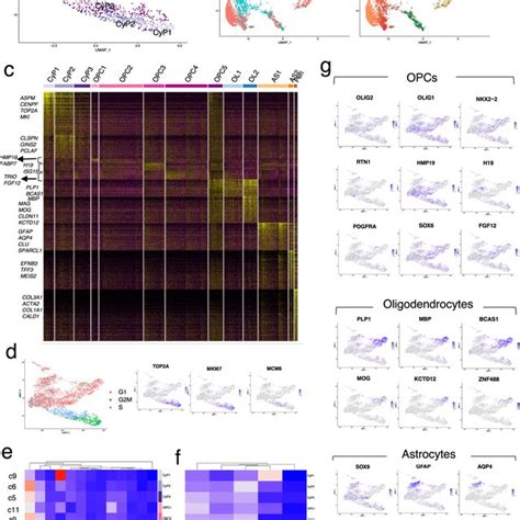 Differential Gene Expression Analysis And Gsea Of The Scrna Seq