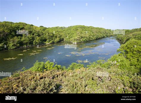 Freshwater Ponds In Limestone Valley Bosherton Lily Ponds Stackpole N
