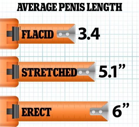 Average Penis Size Up By A Quarter According To Study Led By A Man