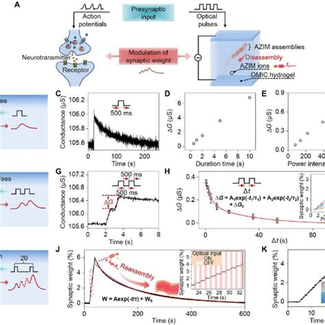 Synaptic Characteristics Of The Omic Hydrogel A Biological