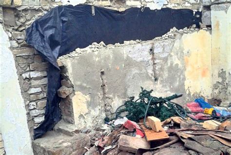 Novi Sad Mali Ceda Stefan Nikolic Siromastvo Beda Smece Koreni