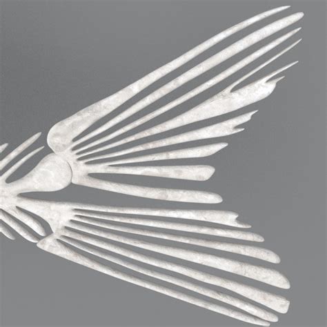 Fish Skeleton Structure 3d Turbosquid 1495658