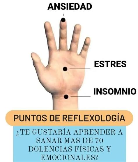 Descubre 66 Ideas De Acupresión Y Consejos Para La Salud Acupresion