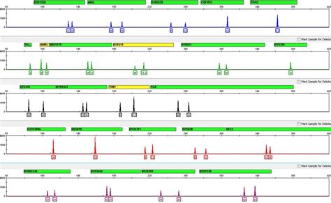 Dna Profile With 24 Genetic Markers