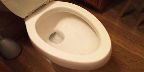How To Keep Water From Evaporating In The Toilet Toitygo