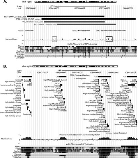 Comparative Genomic Analysis Revealed Candidate Regulatory Elements
