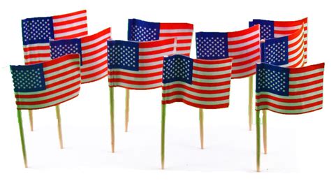 Usa Flag Toothpicks Patriotic Nautical American