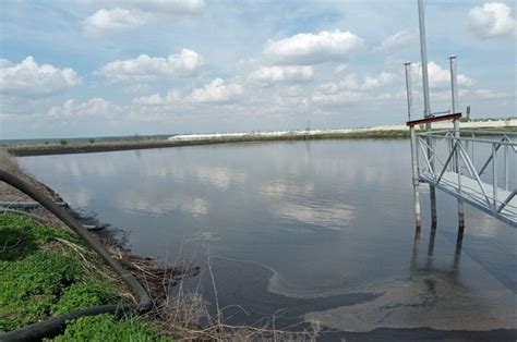 Paracoccus Important Organisms For Denitrification And Sulfide