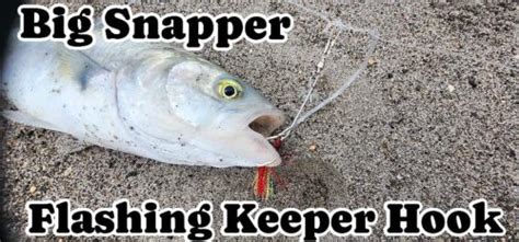 Big Snapper Products Big Snapper