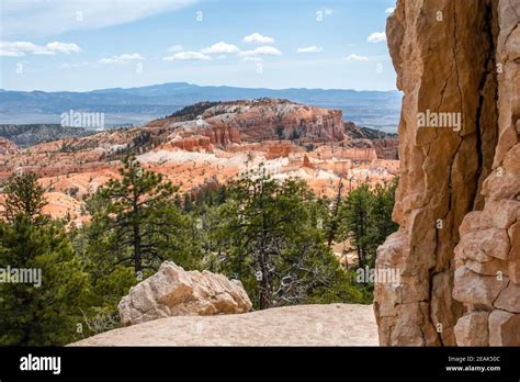 Red Rocks Hoodoos In Bryce Point At Bryce Canyon National Park Utah