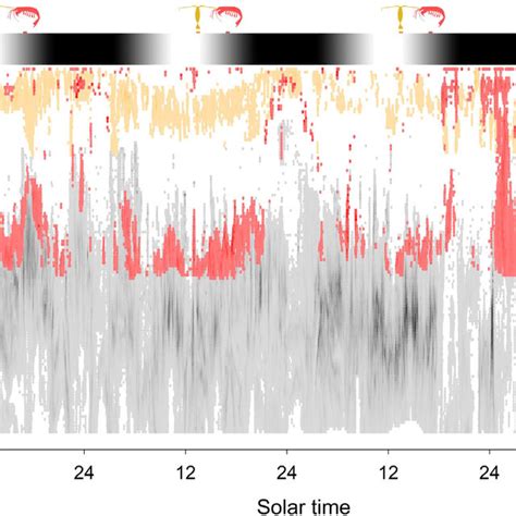 Echogram Display Of Vertical Dynamics Of The Acoustic Categories