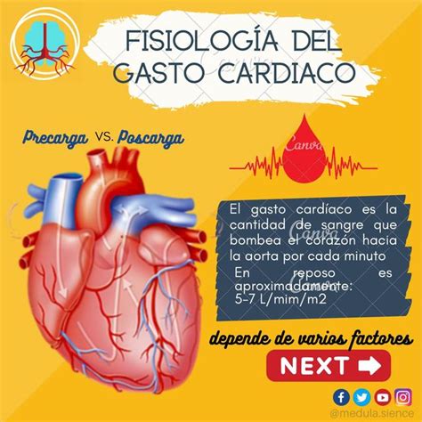 Fisiologia Cardiaca Ciclo Y Gasto Cardiacoppt Grandes Vasos Fisiologia