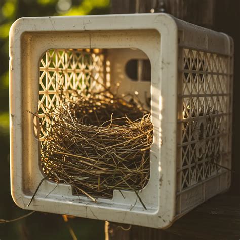 20 Farm Friendly Designs To Build Diy Nesting Boxes For Chickens And