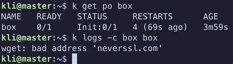 Wget Bad Address Multi Container Pods · Issue 295 · Dgkanatsiosckad