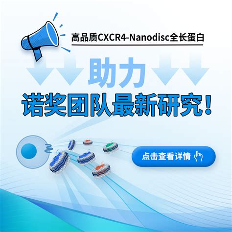 Nectin 4 Adc赛道新兴靶点 专注肿瘤免疫