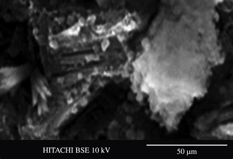 Sem Micrograph Of Cement Paste With Zno 2 Nanoparticles Cured In Water