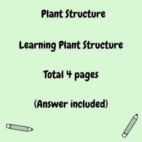 Plant Structure Function Printable Matching And Coloring Sheet By Smarty24