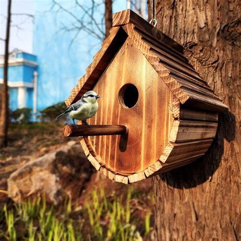 Kwisamr Wren Houses For Outdoorsnatural Wooden Bird Houses