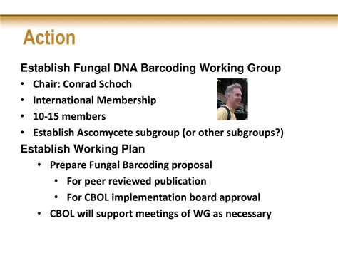 Ppt Promoting Fungi In The Dna Barcoding Movement Powerpoint