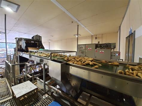 Siemens Milltronics Wd600 For A Vegetable Packing Plant In East Anglia