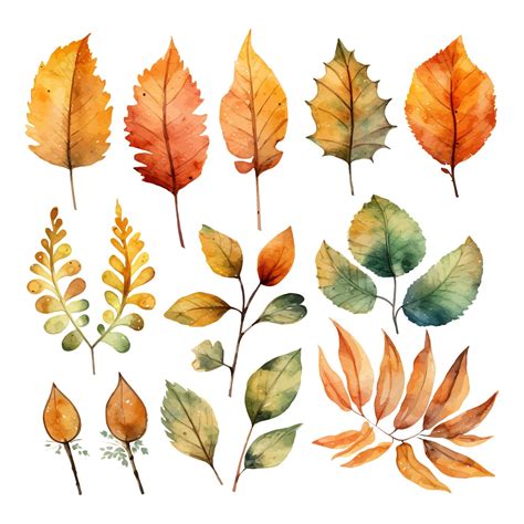 Premium Vector Watercolor Leaves Clipart White Background