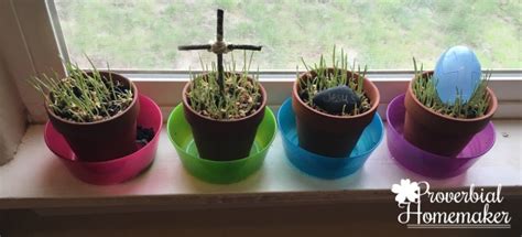 Mini Resurrection Garden