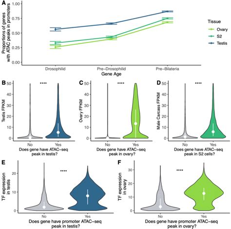 Atac Seq Peaks Show An Age Related Trend In Multiple Tissues A The Download Scientific